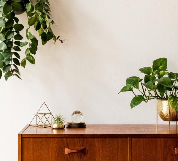 Park City Real Estate & Homes For Sale | Laura Willis Real Estate