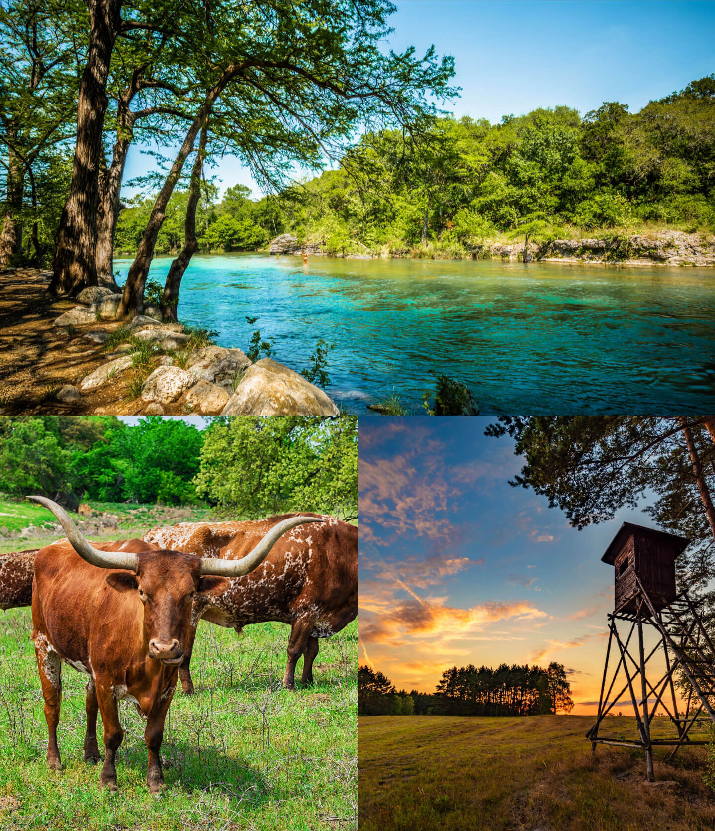 Texas Land for Sale, Texas Ranches for Sale,